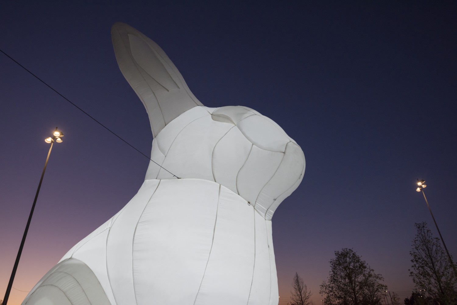 Yes, Giant Bunnies - Cary Magazine