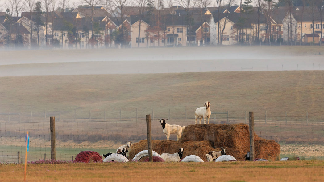 Rural Route - Cary Magazine