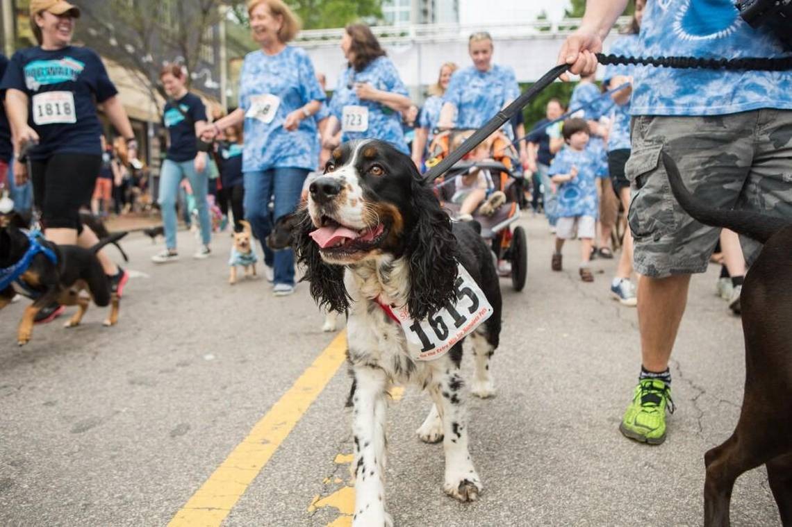 Walk Your Dog, Save a Life - Cary Magazine