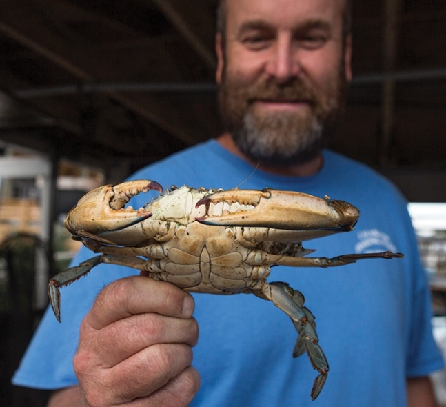 Worth the Drive: A Fresh Look at Calabash Seafood - Cary Magazine