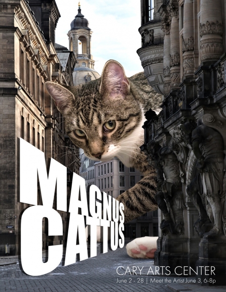 The Surreal Cat Art of Matt McCarthy - Cary Magazine