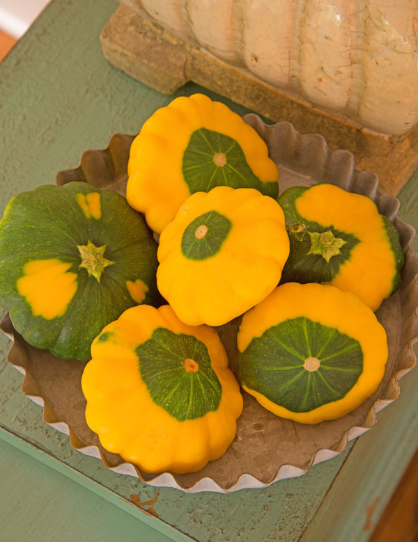 Garden Adventurer: The Edible Oddity: Patty Pan Squash - Cary Magazine