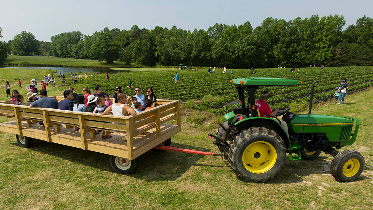 Farm Fresh - Cary Magazine